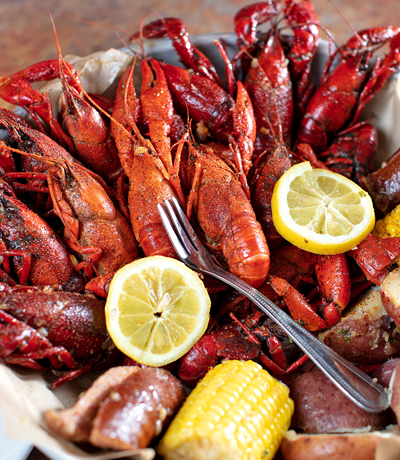 Crawdaddy's in Gatlinburg, TN - Kennedy Concepts